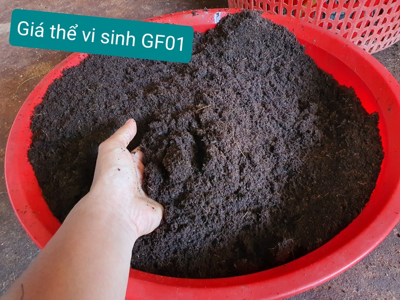 GREEN FIELD CO.,LTD. GIÁ THỂ VI SINH GF01